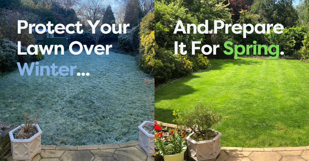 how to prepare your grass for winter