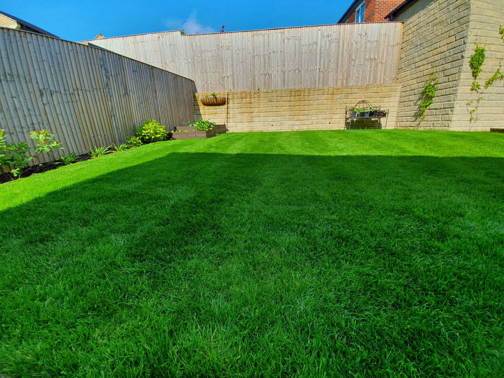 Spring Lawn Care Essentials – The Lawn Pack